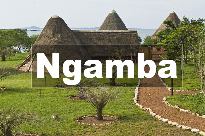Home - Ngamba Island chimpanzee Sanctuary uganda on Lake ...