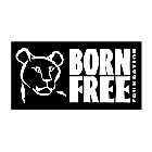 Home - Ngamba Island chimpanzee Sanctuary ugandaChimpanzee Trust